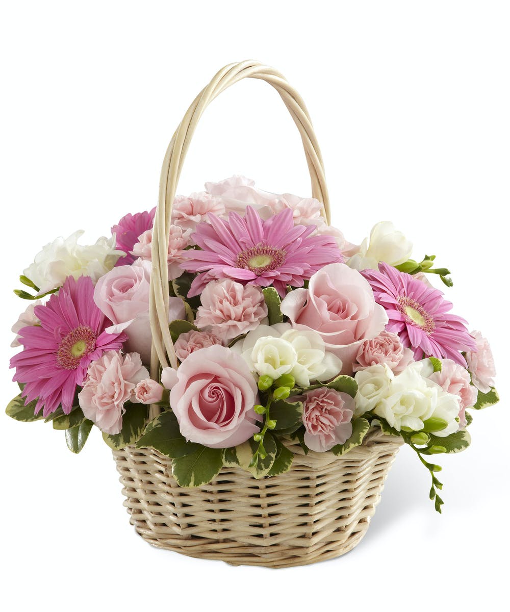 BASKETS – Bouquetino